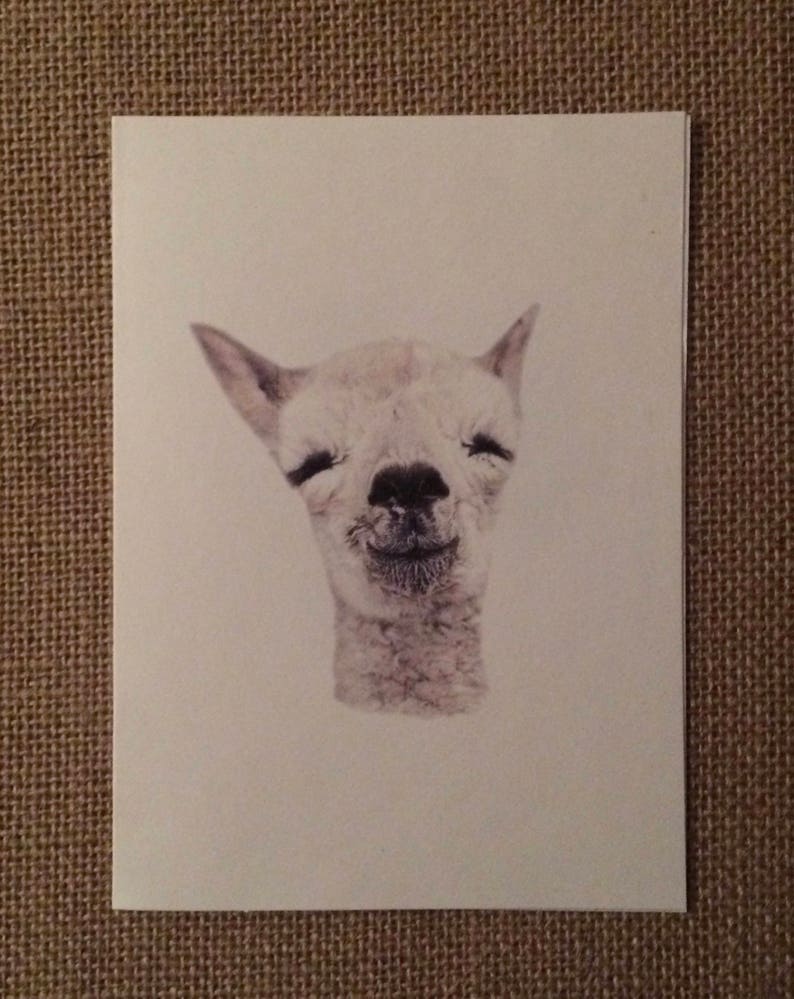 Set of 6 or 12 Handmade Blank Alpaca Print Note Cards - Etsy