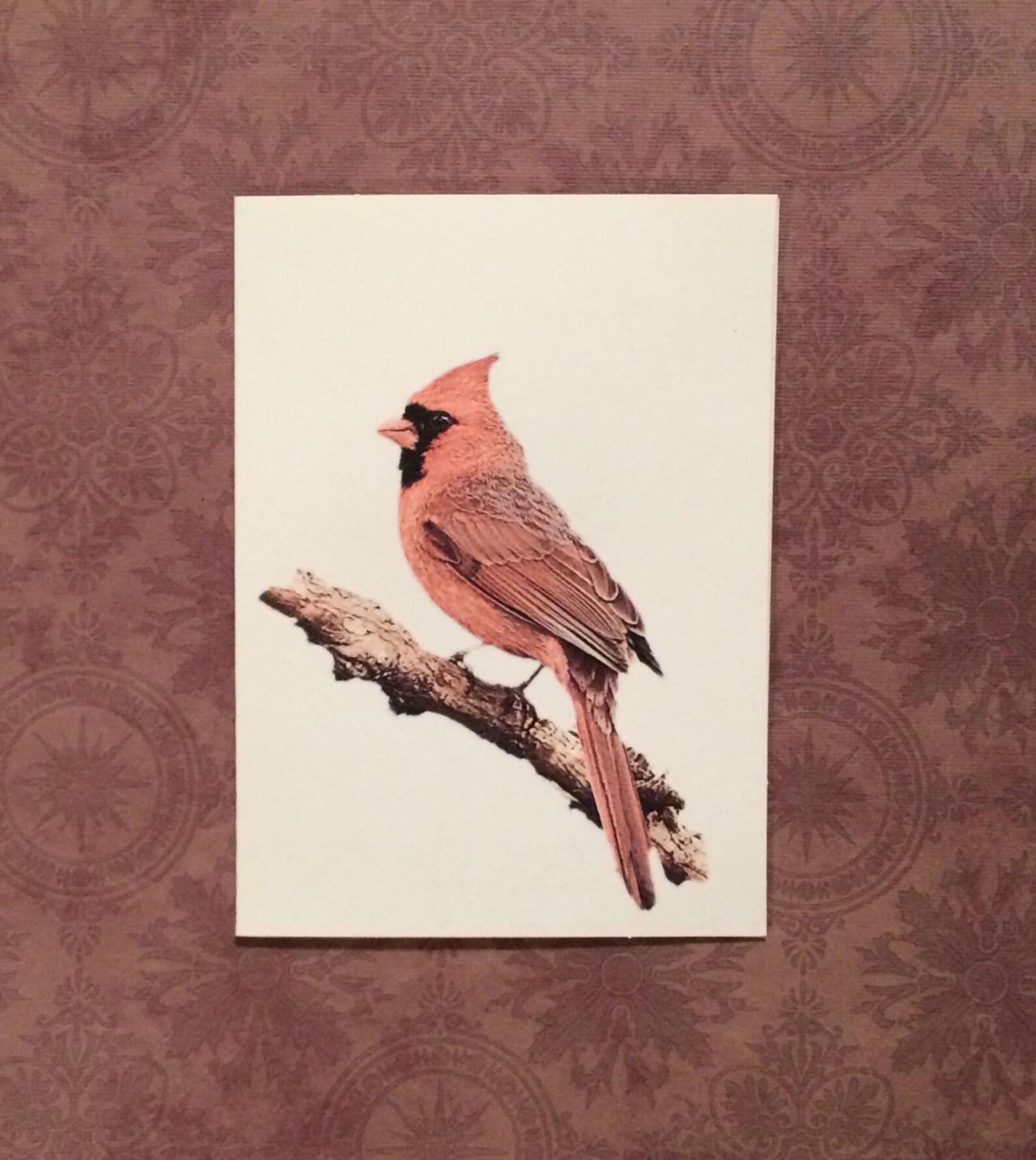 Set of 6 or 12 Handmade Blank Cardinal Bird Print Note Cards - Etsy