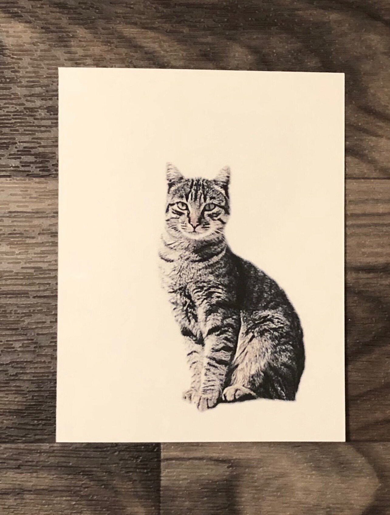 Set of 6 or 12 Handmade Blank Tabby Cat Print Note Cards | Etsy