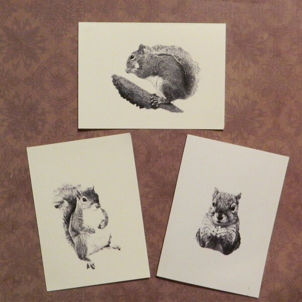Squirrel Stamp - Etsy