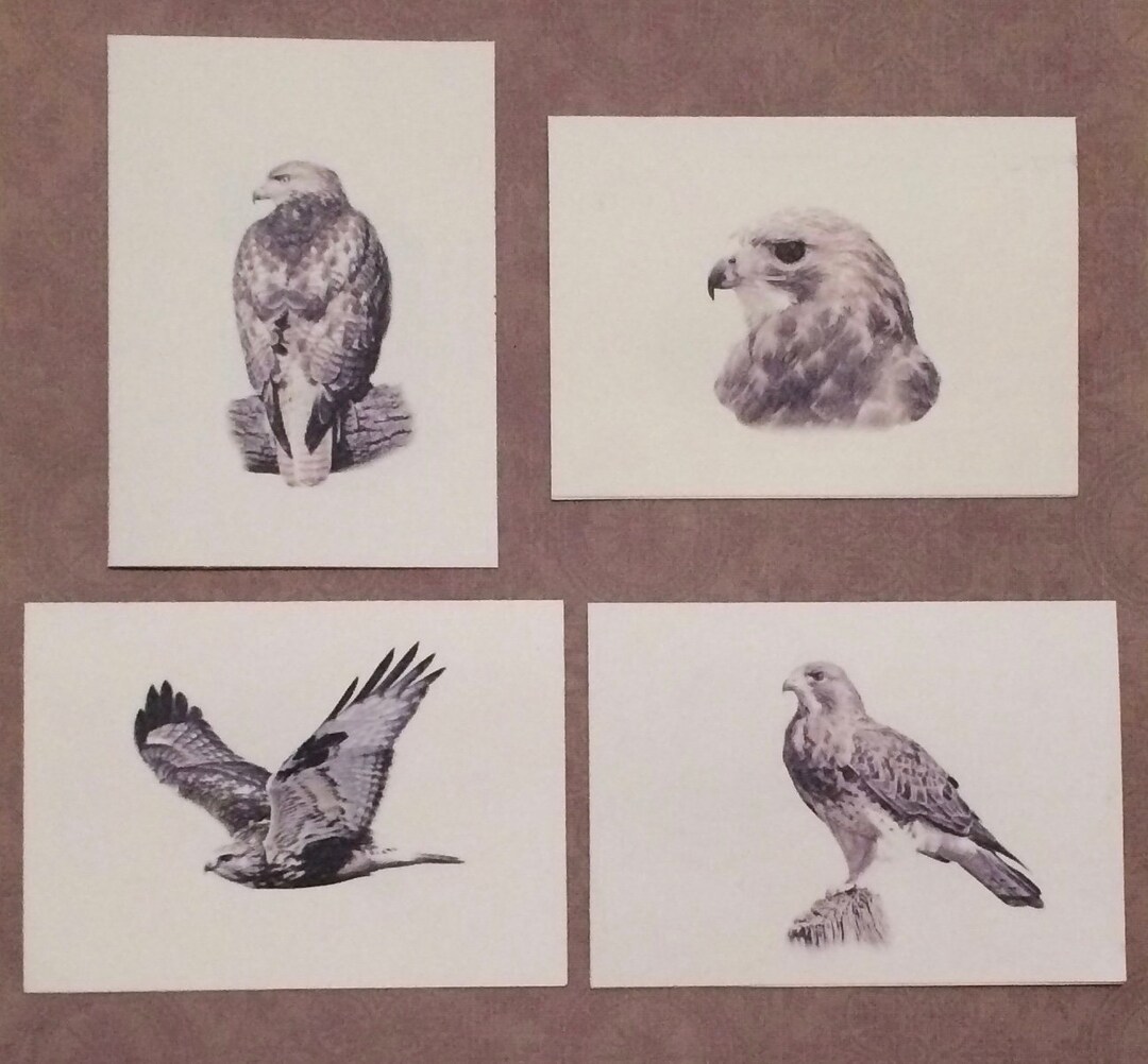 Set of 12 Handmade Blank Hawk Print Note Cards - Etsy