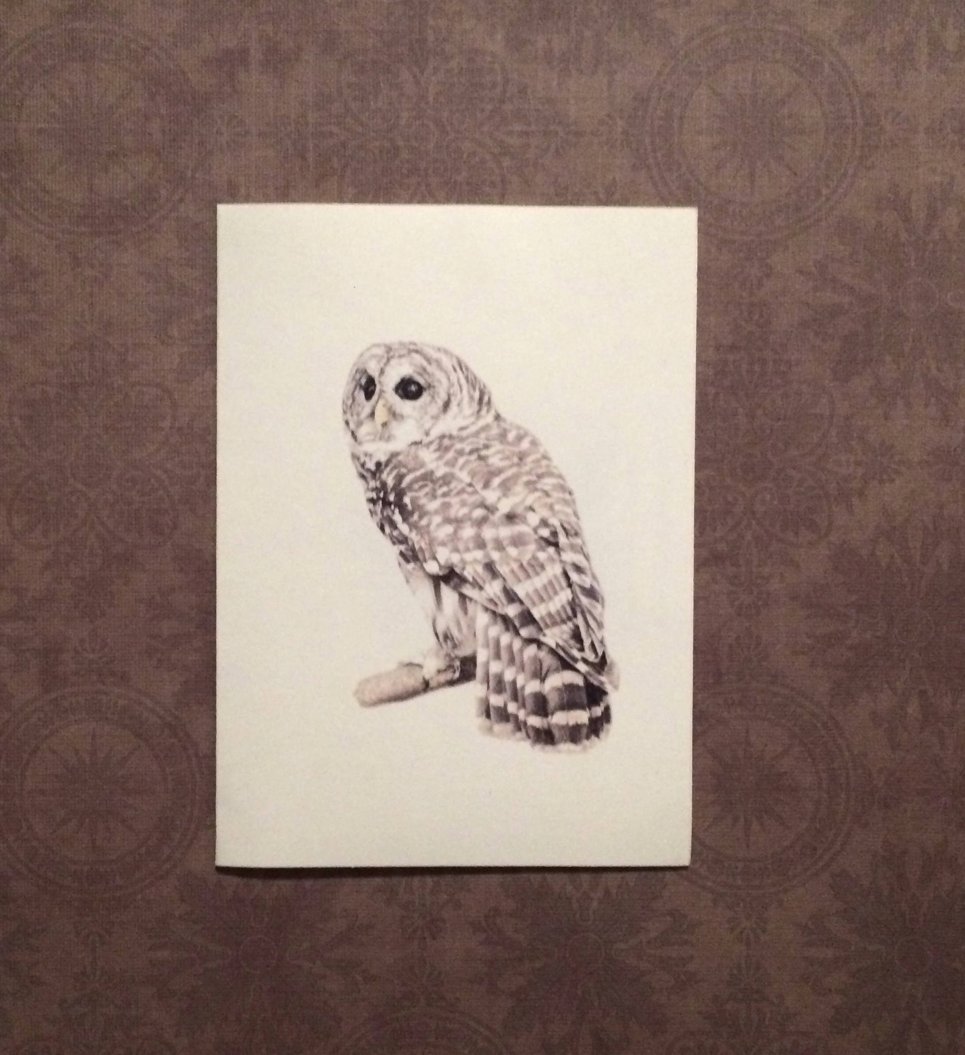 Set of 12 Handmade Blank Owl Bird Print Note Cards Snowy | Etsy