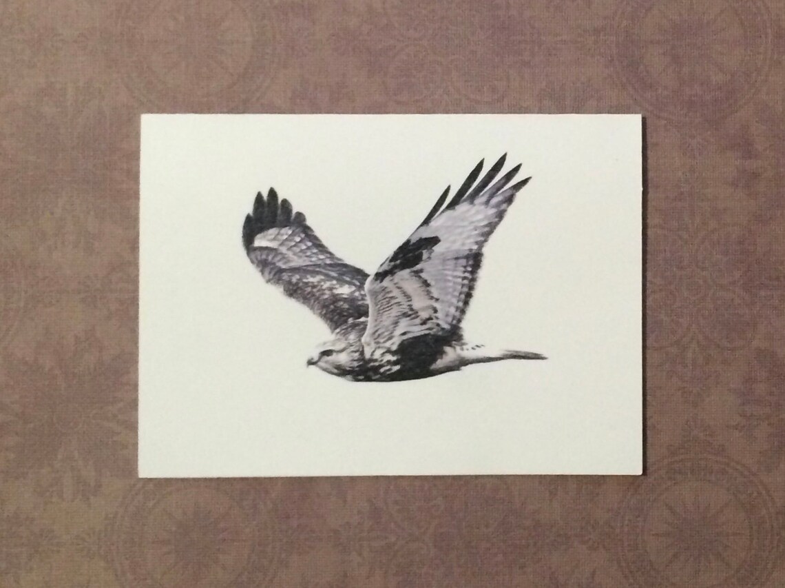 Set of 12 Handmade Blank Hawk Print Note Cards - Etsy