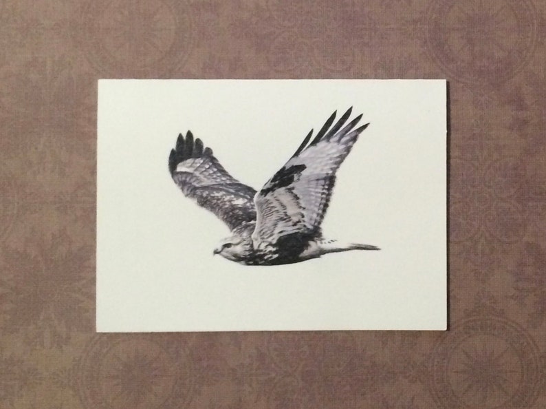 Set of 12 Handmade Blank Hawk Print Note Cards - Etsy