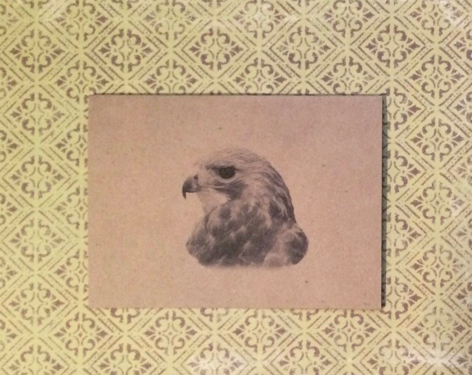 Set of 12 Handmade Blank Hawk Print Note Cards | Etsy