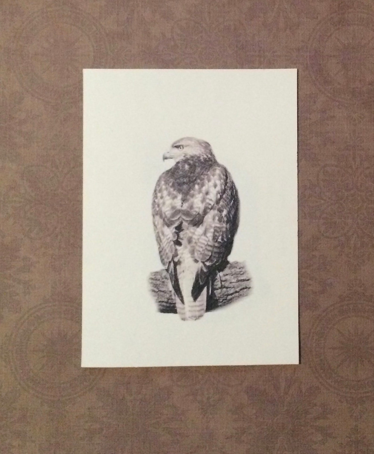 Set of 12 Handmade Blank Hawk Print Note Cards - Etsy