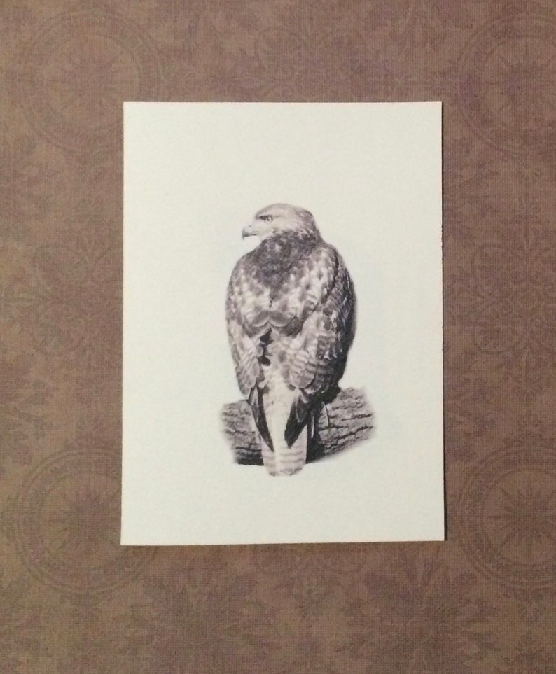 Set of 12 Handmade Blank Hawk Print Note Cards - Etsy