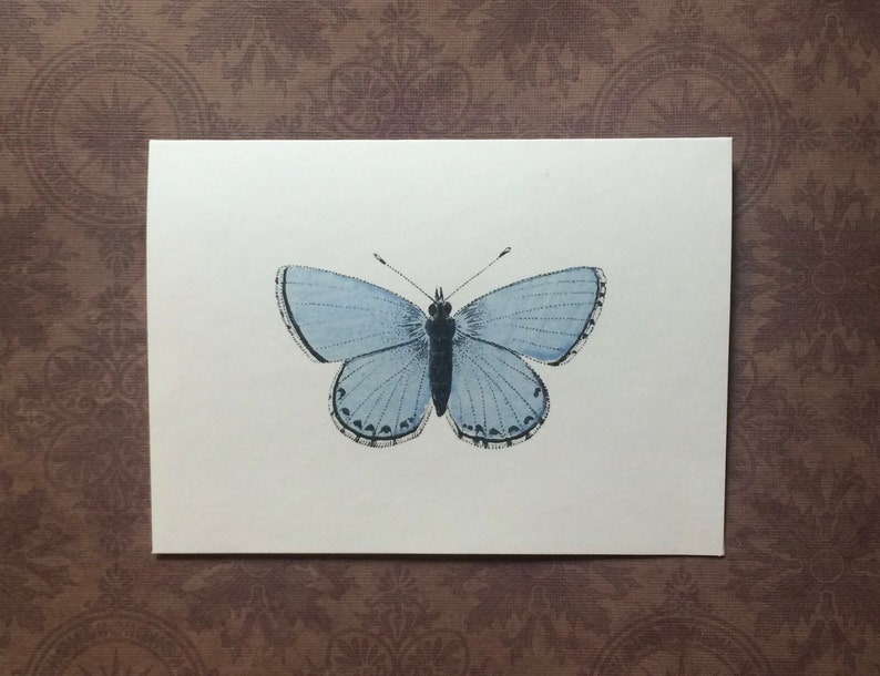 Set of 6 or 12 Handmade Blank Butterfly Print Note Cards 1 - Etsy