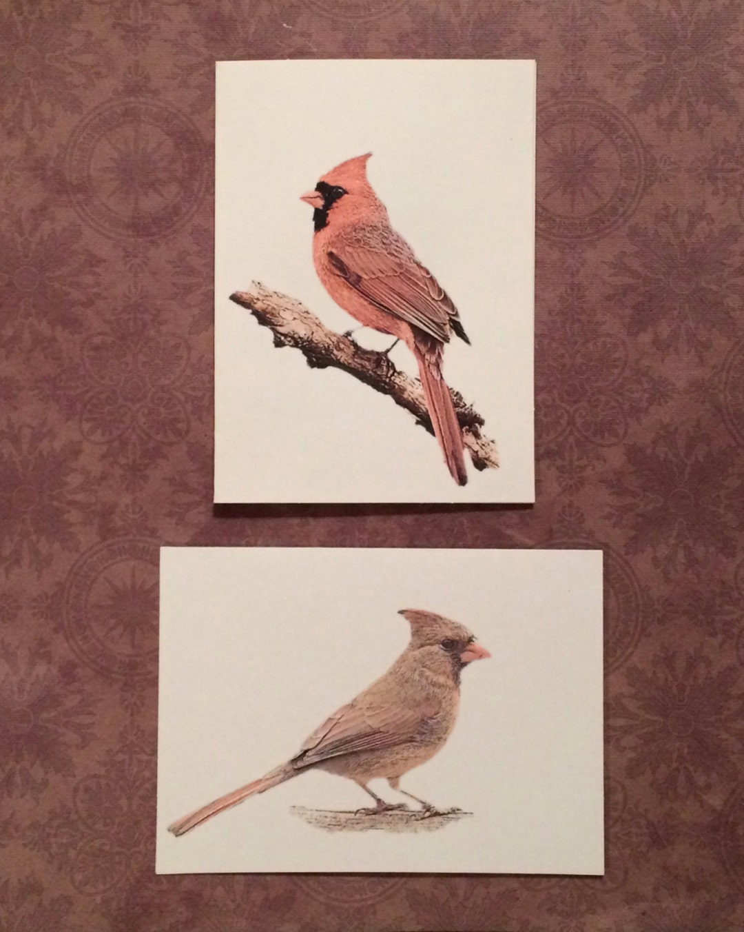 Set of 6 or 12 Handmade Blank Cardinal Bird Print Note Cards - Etsy