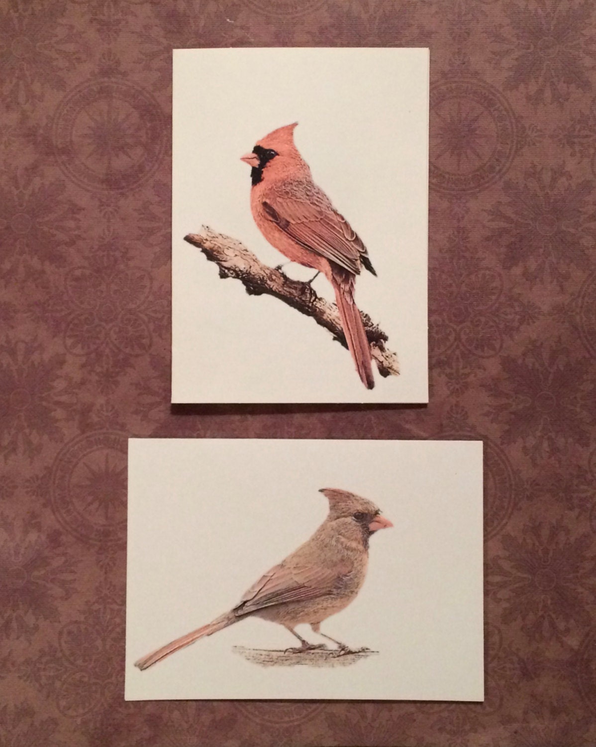 Set of 6 or 12 Handmade Blank Cardinal Bird Print Note Cards - Etsy