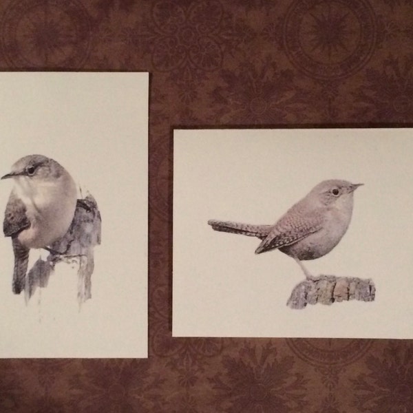 Wrens Birds Print - Etsy