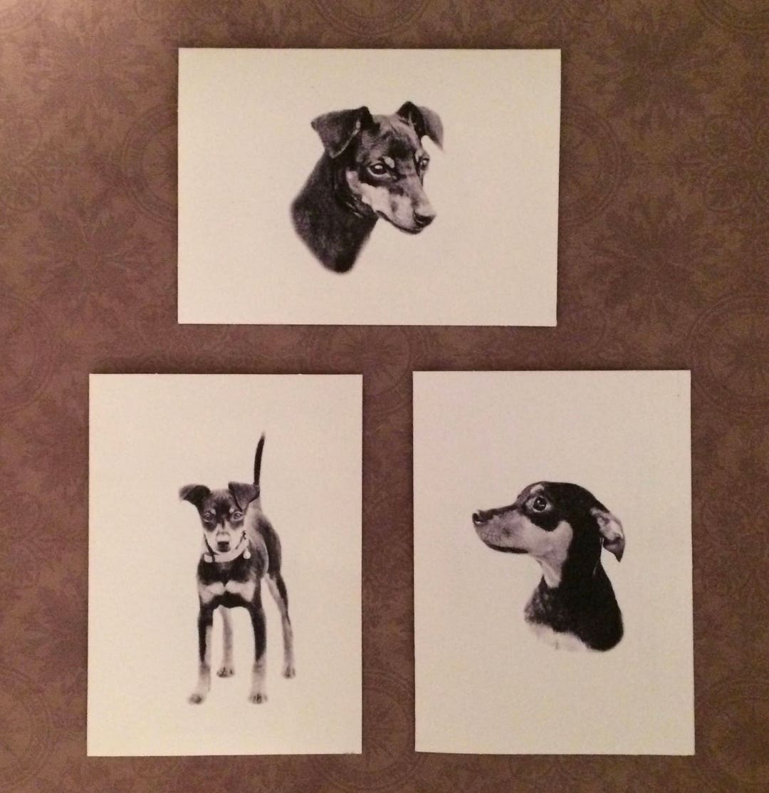 Set of 6 or 12 Handmade Miniature Pinscher Print Dog Print Note Cards ...