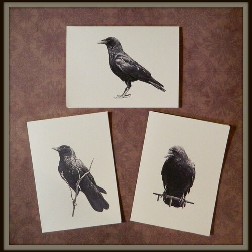 Set of 6 or 12 Handmade Blank Crow Print Note Cards | Etsy