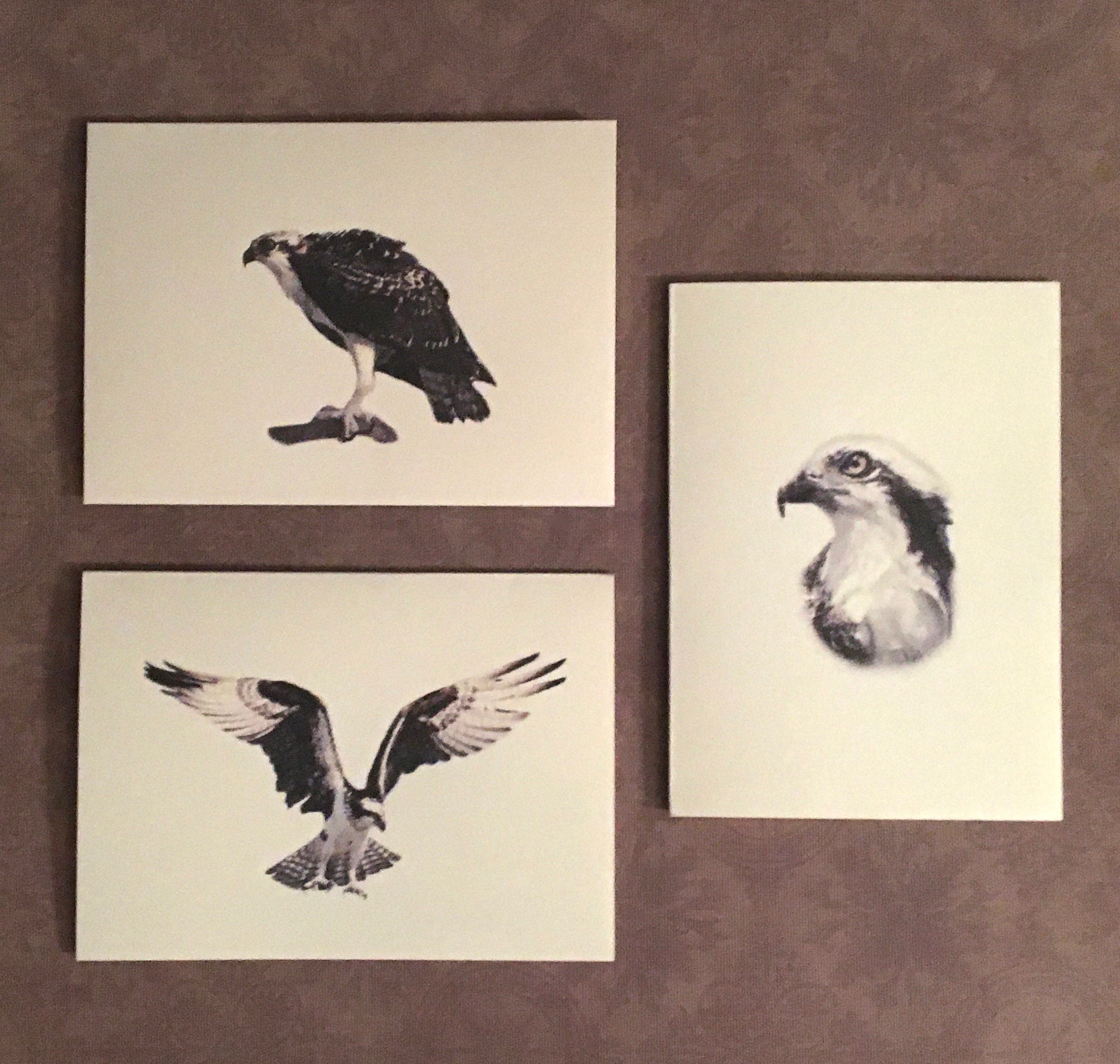 Set of 6 or 12 Handmade Blank Osprey Print Note Cards - Etsy