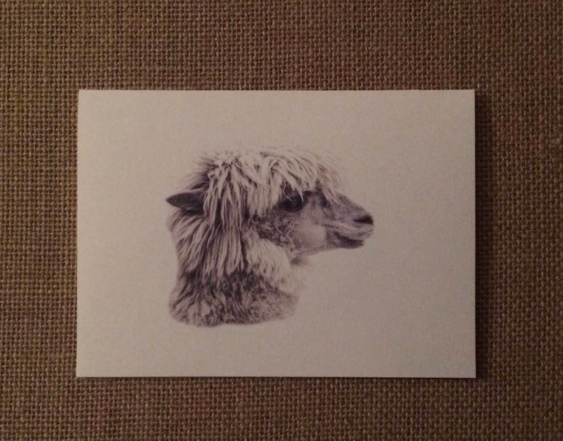 Set of 6 or 12 Handmade Blank Alpaca Print Note Cards - Etsy
