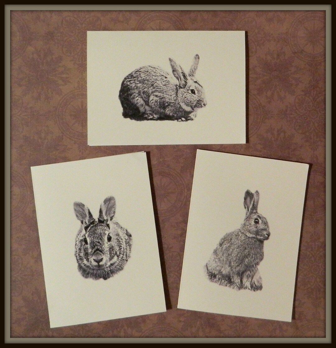 Set of 6 or 12 Handmade Blank Rabbit Bunny Print Note Cards - Etsy