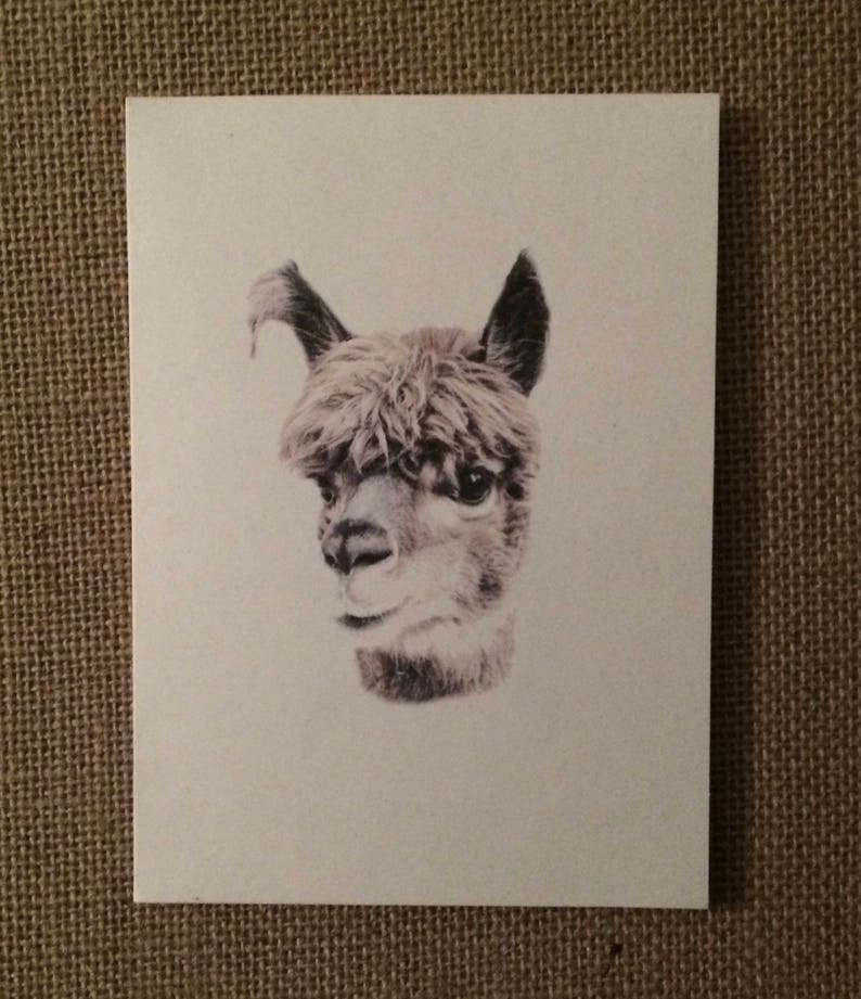 Set of 6 or 12 Handmade Blank Alpaca Print Note Cards - Etsy