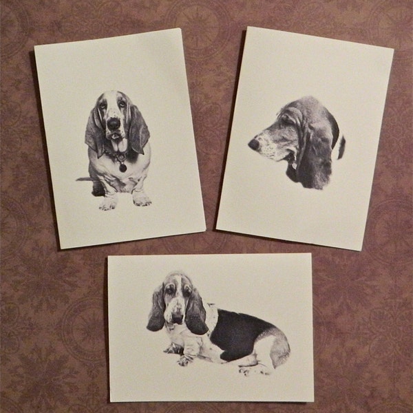 Basset Hound Print - Etsy