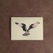 Set of 6 or 12 Handmade Blank Osprey Print Note Cards - Etsy