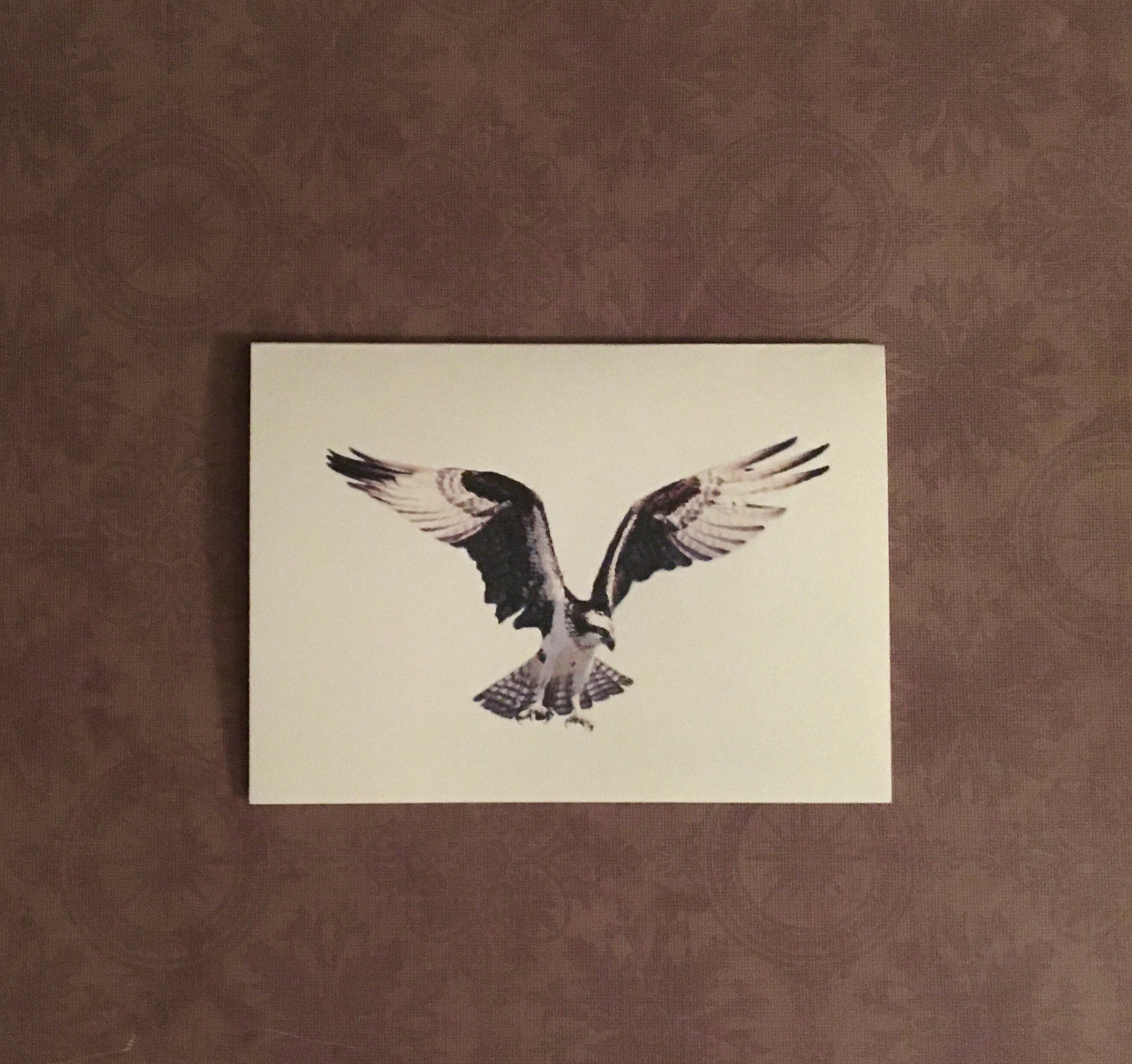 Set of 6 or 12 Handmade Blank Osprey Print Note Cards - Etsy