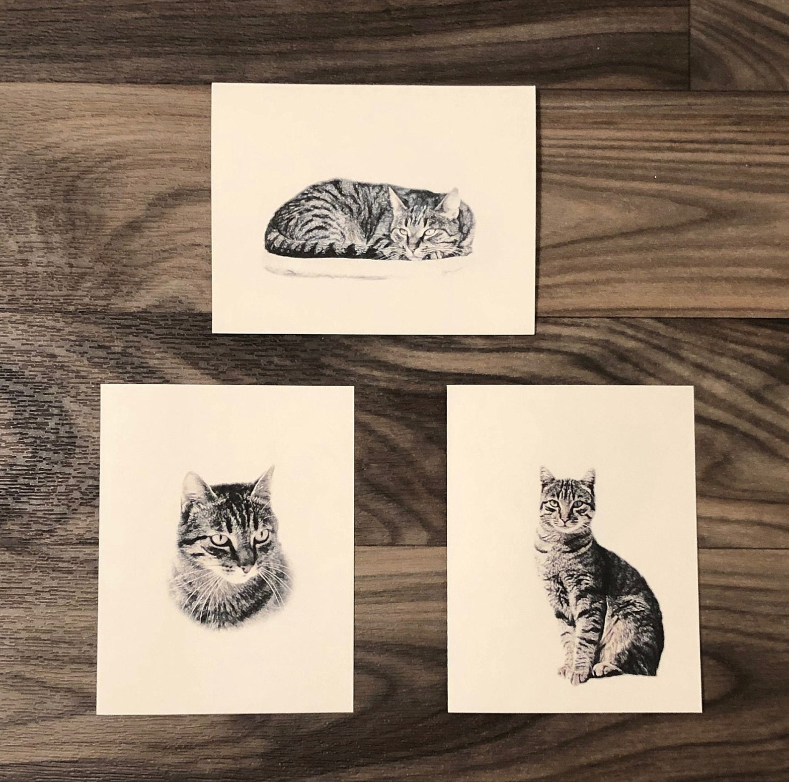 Set of 6 or 12 Handmade Blank Tabby Cat Print Note Cards | Etsy
