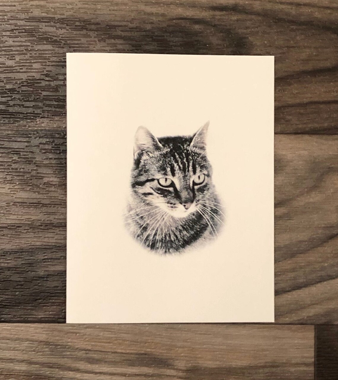 Set of 6 or 12 Handmade Blank Tabby Cat Print Note Cards | Etsy