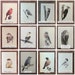 Set of 6 or 12 Handmade Bird Print Note Cards - Etsy