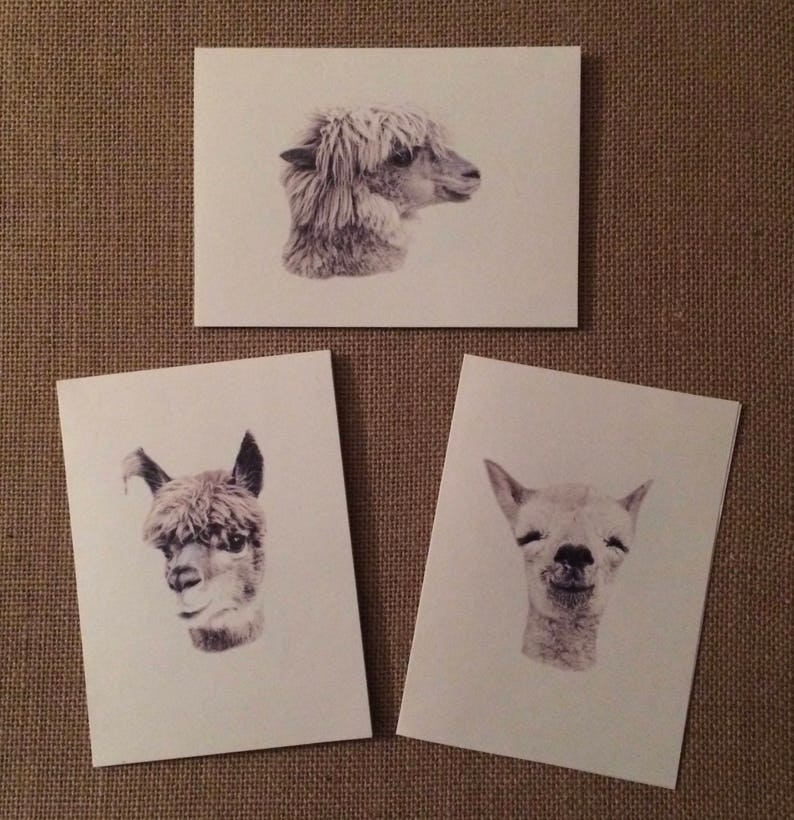 Set of 6 or 12 Handmade Blank Alpaca Print Note Cards - Etsy