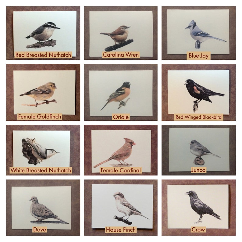 Set of 6 or 12 Handmade Bird Print Note Cards - Etsy