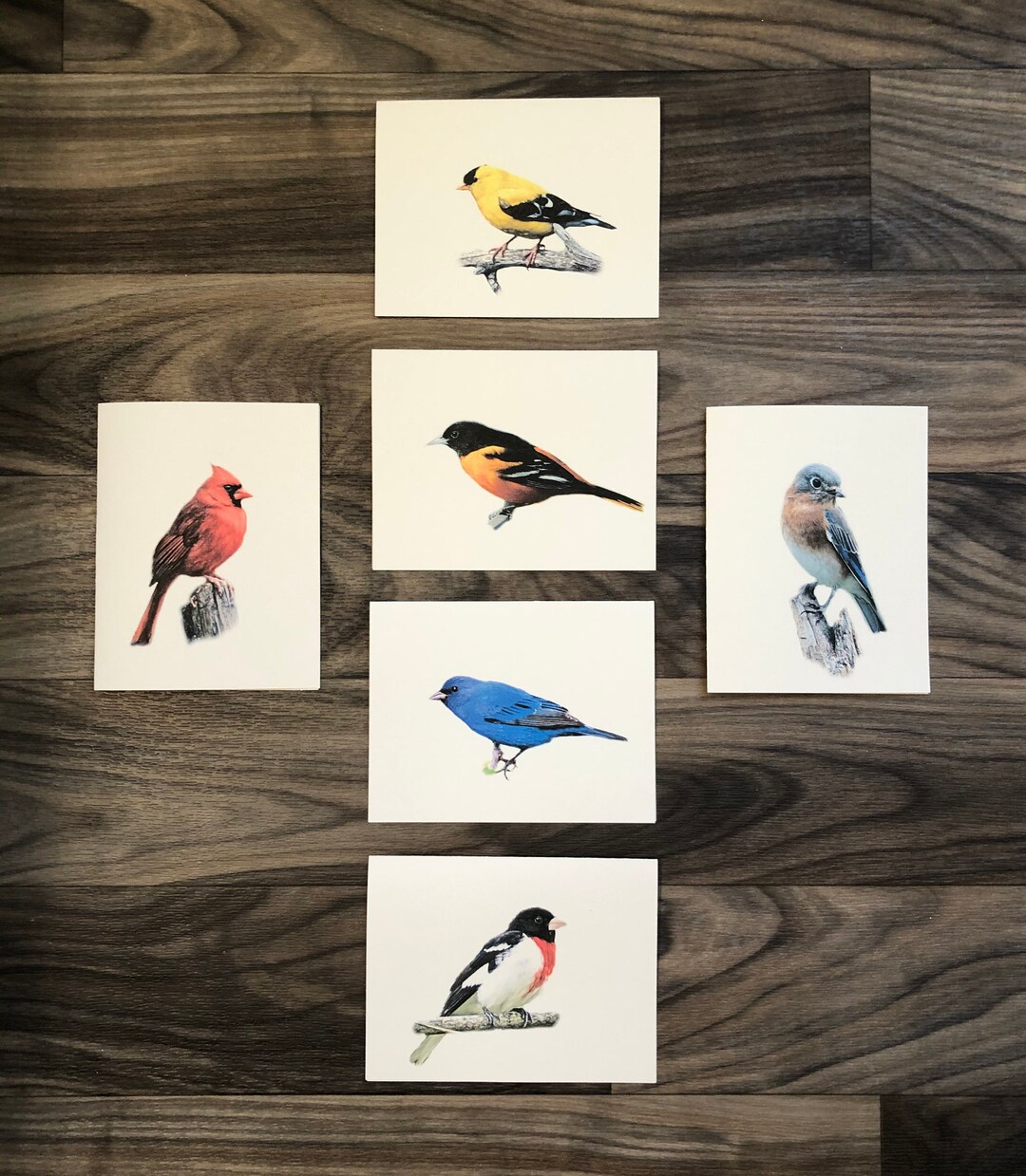 Set of 6 or 12 Handmade Blank All Birds Bright & Beautiful Collection ...