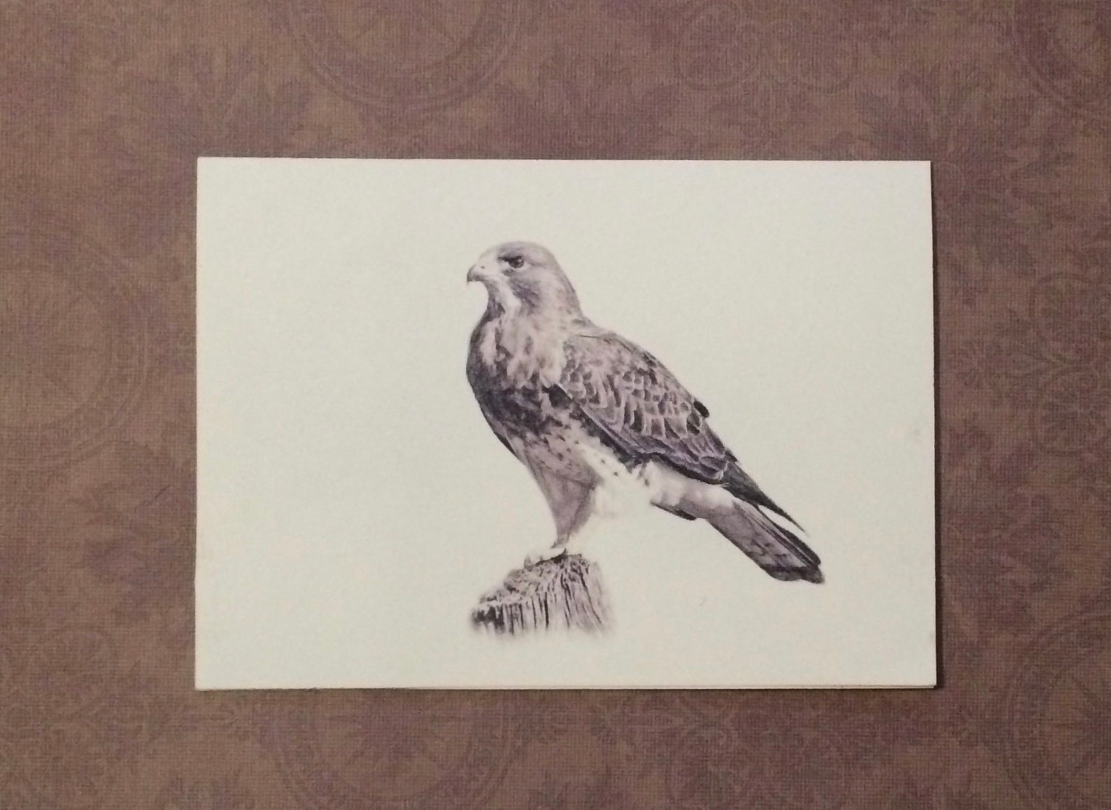 Set of 12 Handmade Blank Hawk Print Note Cards - Etsy