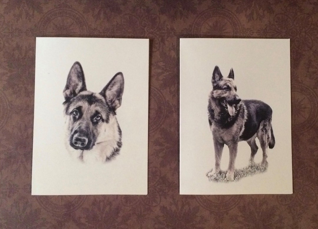 6 or 12 Handmade Blank German Shepherd Dog Print Note Cards - Etsy