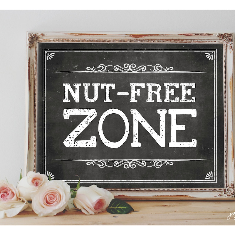 Nut Free Zone Sign - Etsy