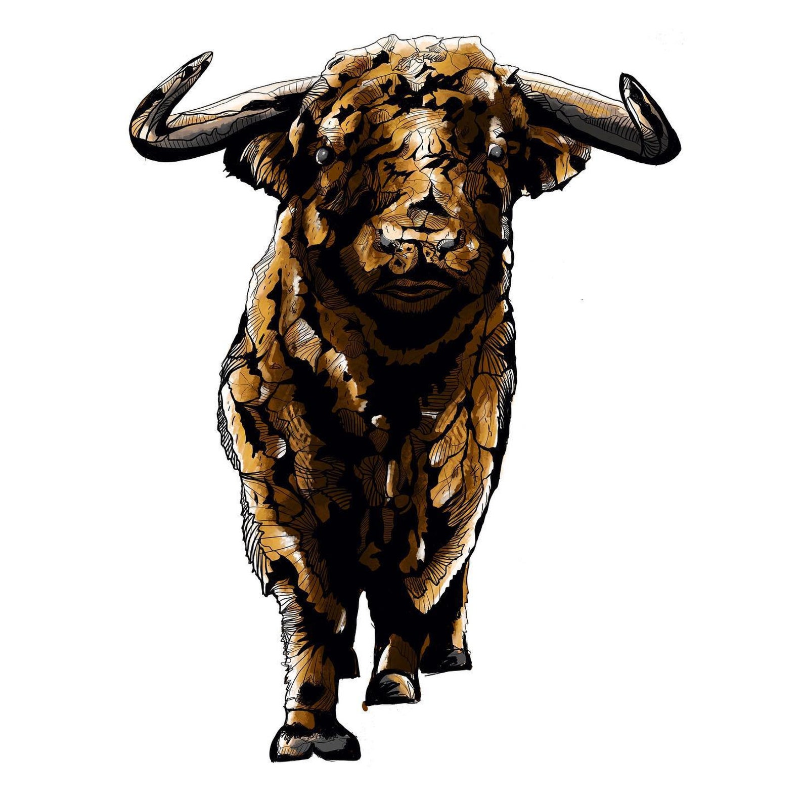 Scottish Highland Bull Art Print Giclee Illustration A3 - Etsy España