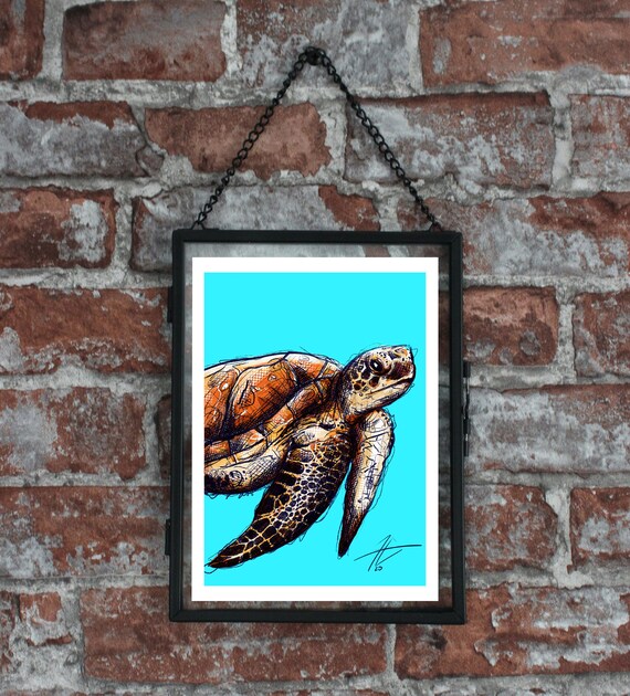 Green Sea Turtle Marine Life Portrait Art Print Giclee | Etsy