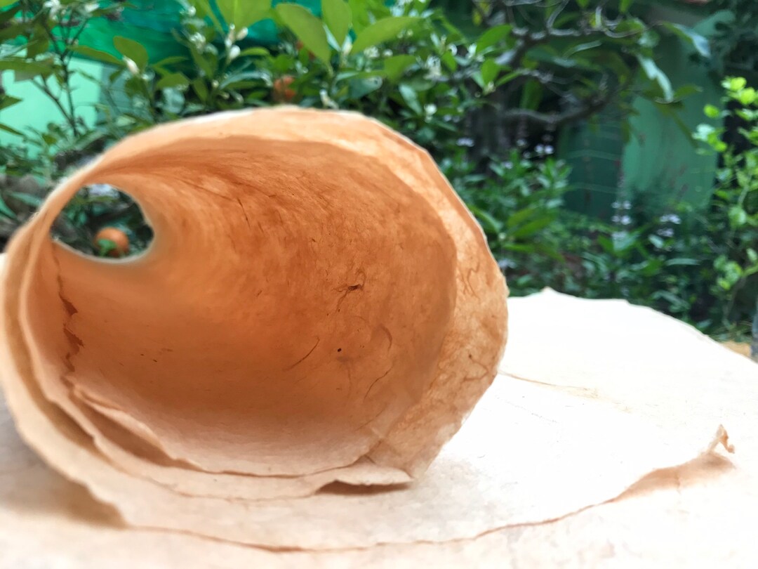 Natural Dying Orange Color From Litchi/ Handmade Paper From Vietnam ...