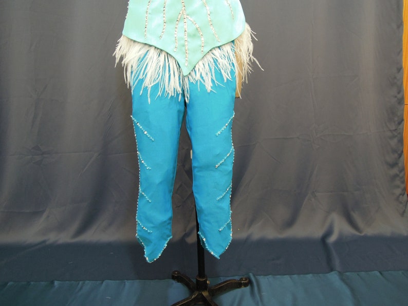 Tinker Bell Twin Sister Periwinkle Costume size 10-12 high | Etsy