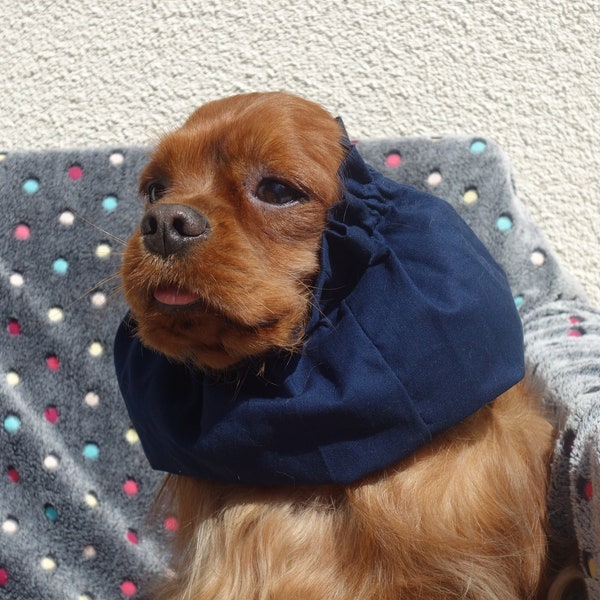 Cavalier Dog Snood - Etsy