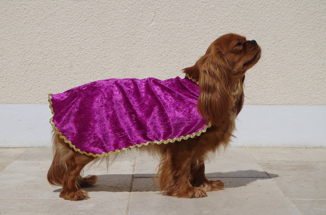Cape Chien - "marie-antoinette" - Etsy