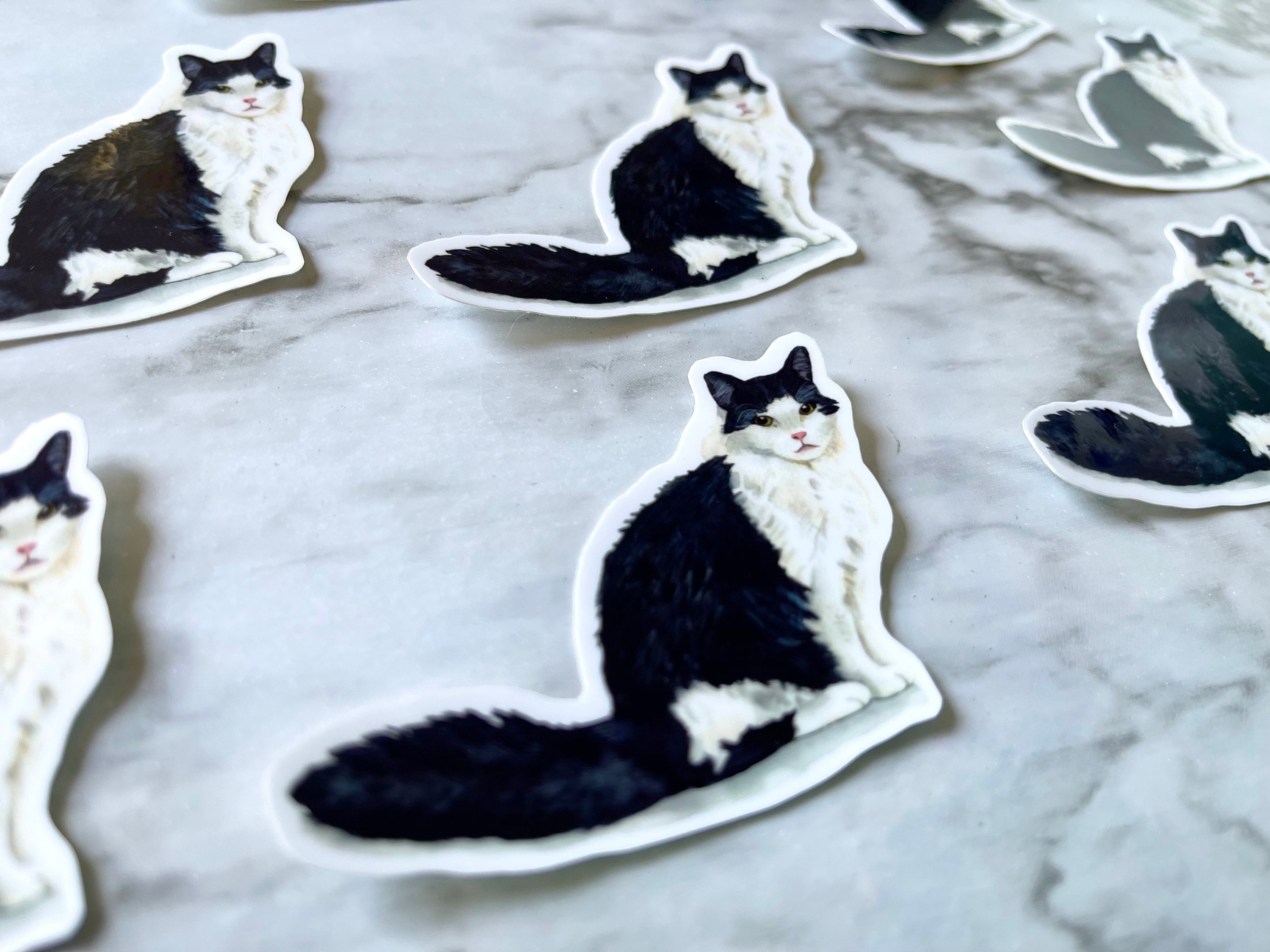 Velcro Cat Vinyl Sticker - Illustrated Sticker - Tuxedo Cat - Black and ...