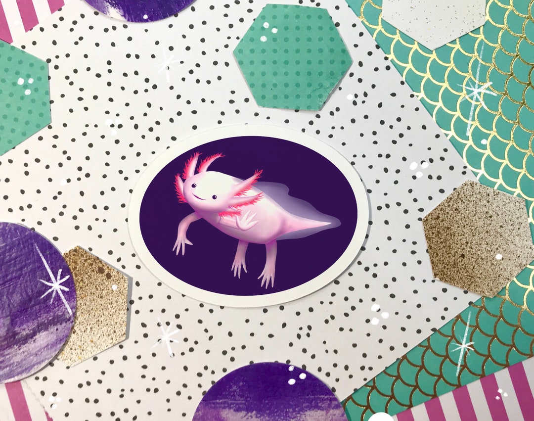 Axolotl Sticker – Waterproof Vinyl Illustrated Decal - Etsy