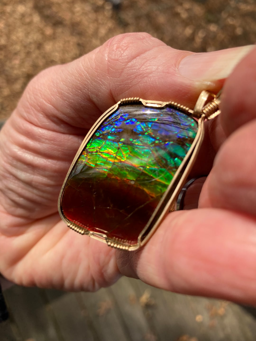 Ammolite Pendant With Full Color Display - Ribbon Pattern - Etsy