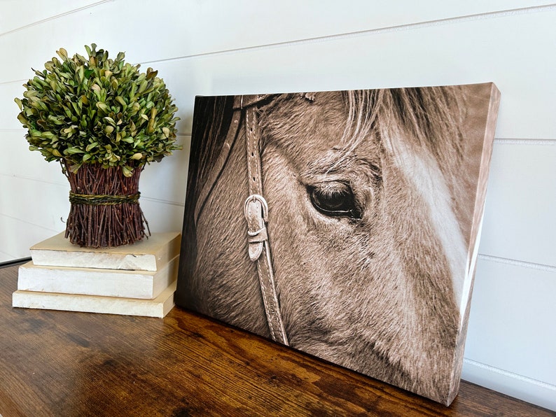 Seeing Into Her Soul Ranch Life Canvas Prints/ranch Life Photography ...