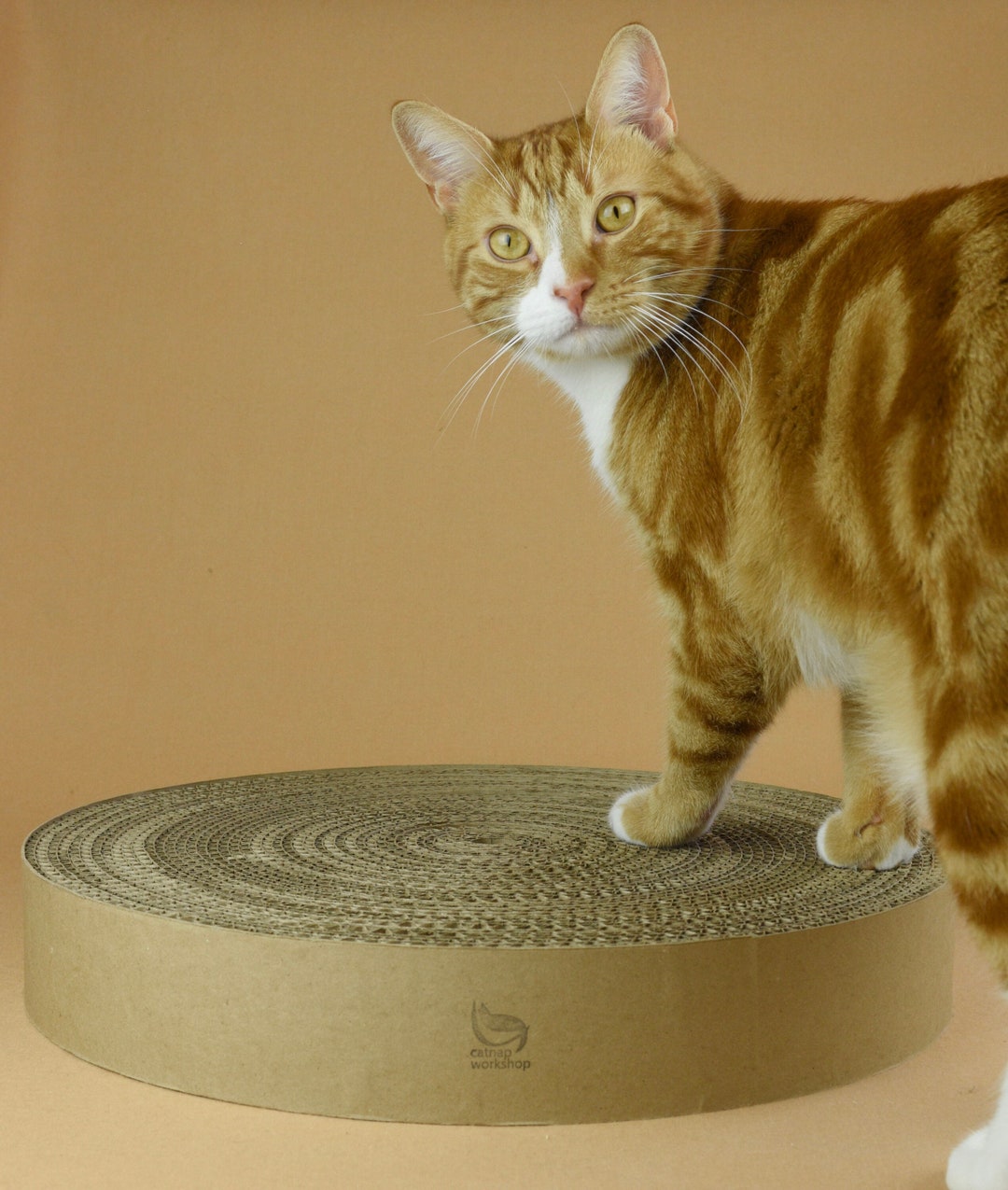 Replacement Cardboard Scratching Inserts for Scratchers by - Etsy