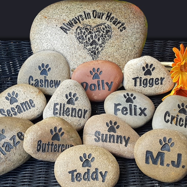 Pet Rock - Etsy
