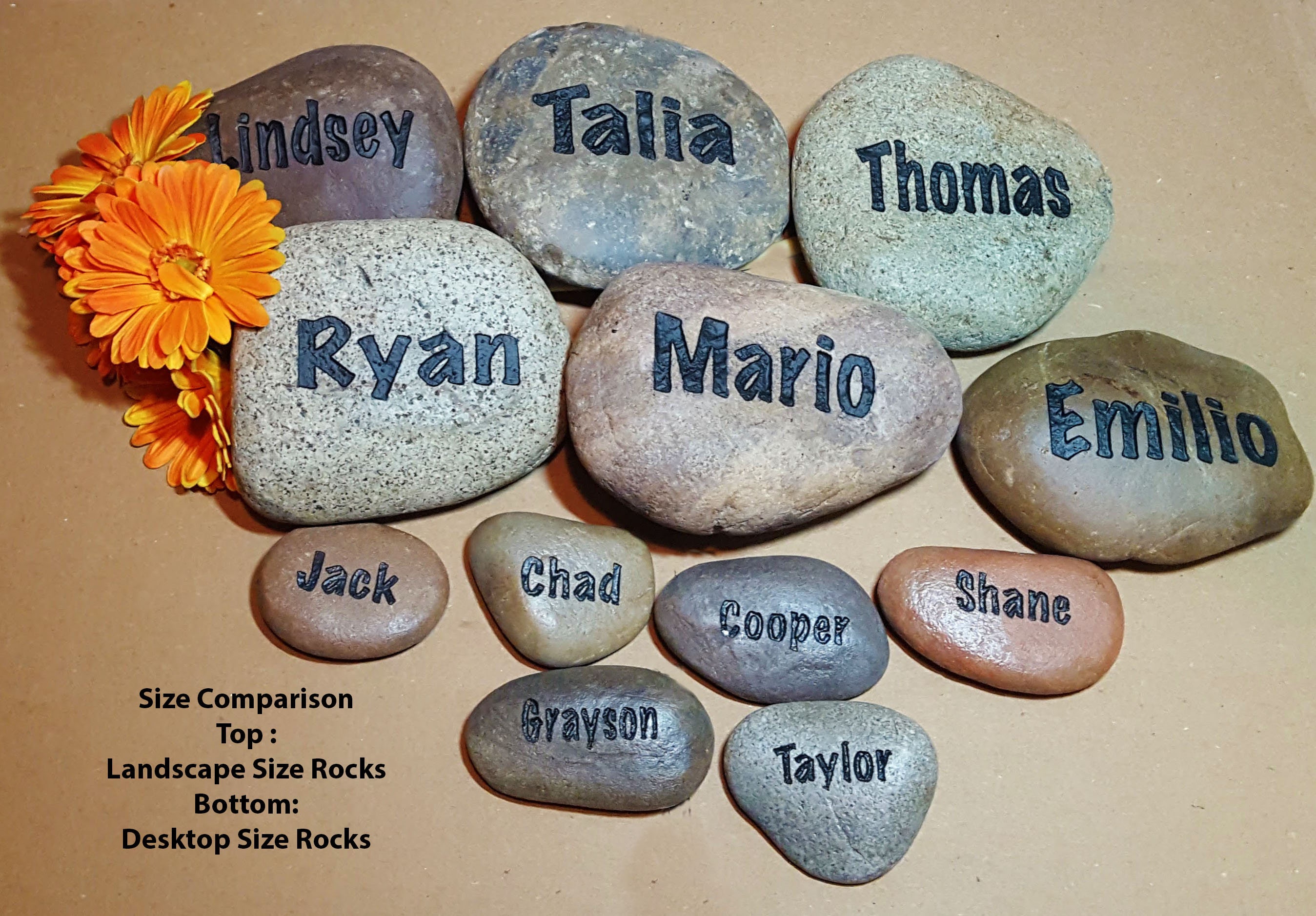 Grandparent Gift Grandkids Rock Personalized Name Rocks | Etsy