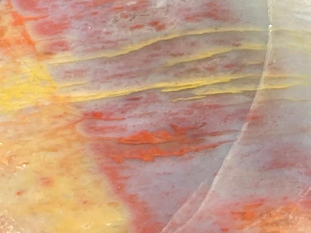 Rainbow Petrified Wood - Rough Rock Slab - Etsy