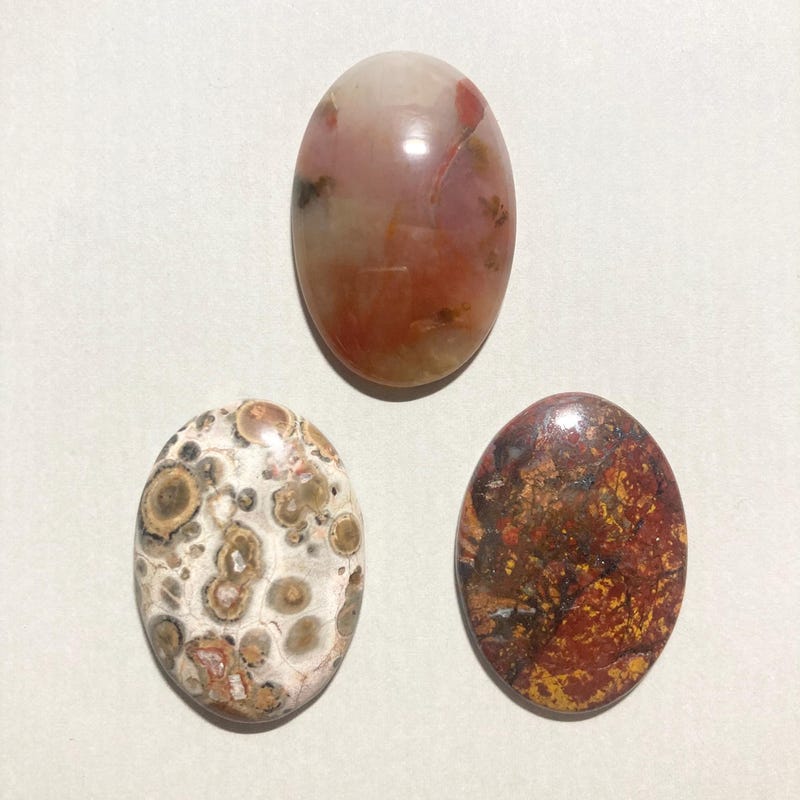 Coprolite - Etsy