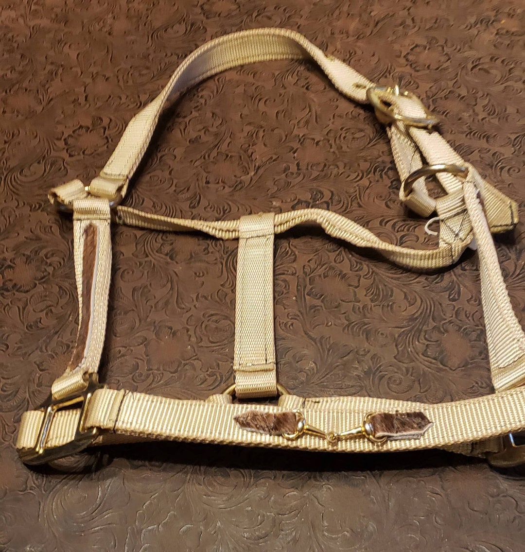 Tan Arabian, Cob Halter With Hair on Hide Trim Free Shipping - Etsy