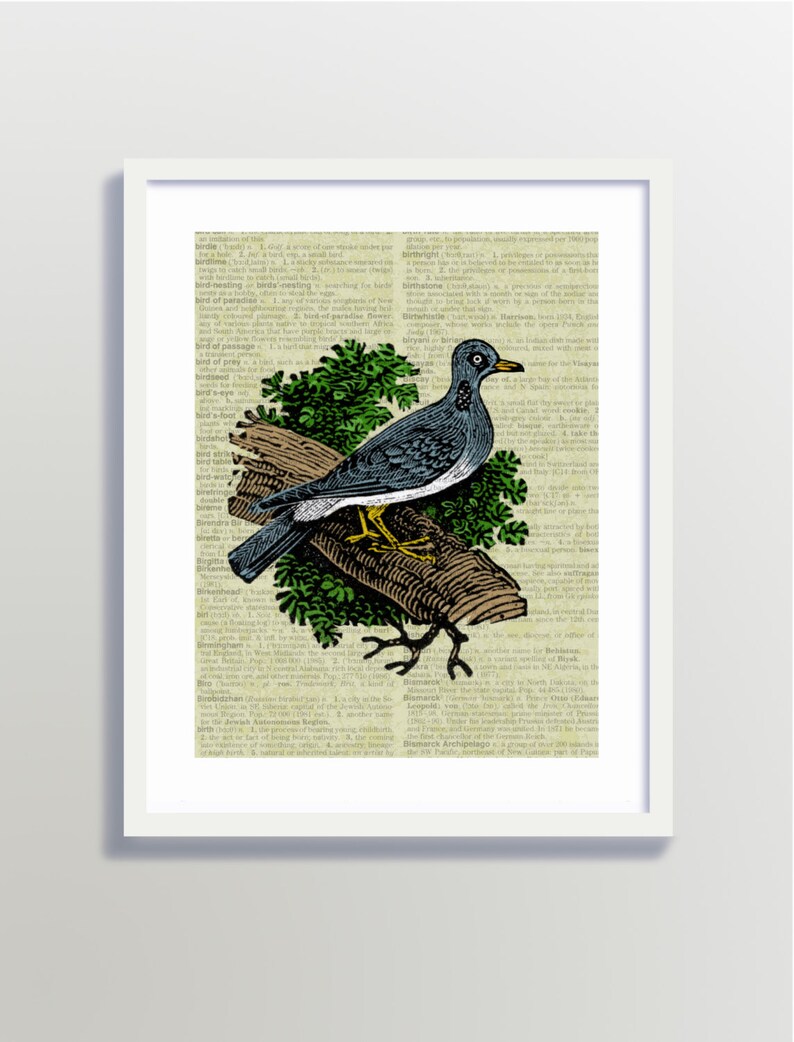 Bird Print, Bird Poster, Bird Engraving, Dictionary Art, Dictionary ...